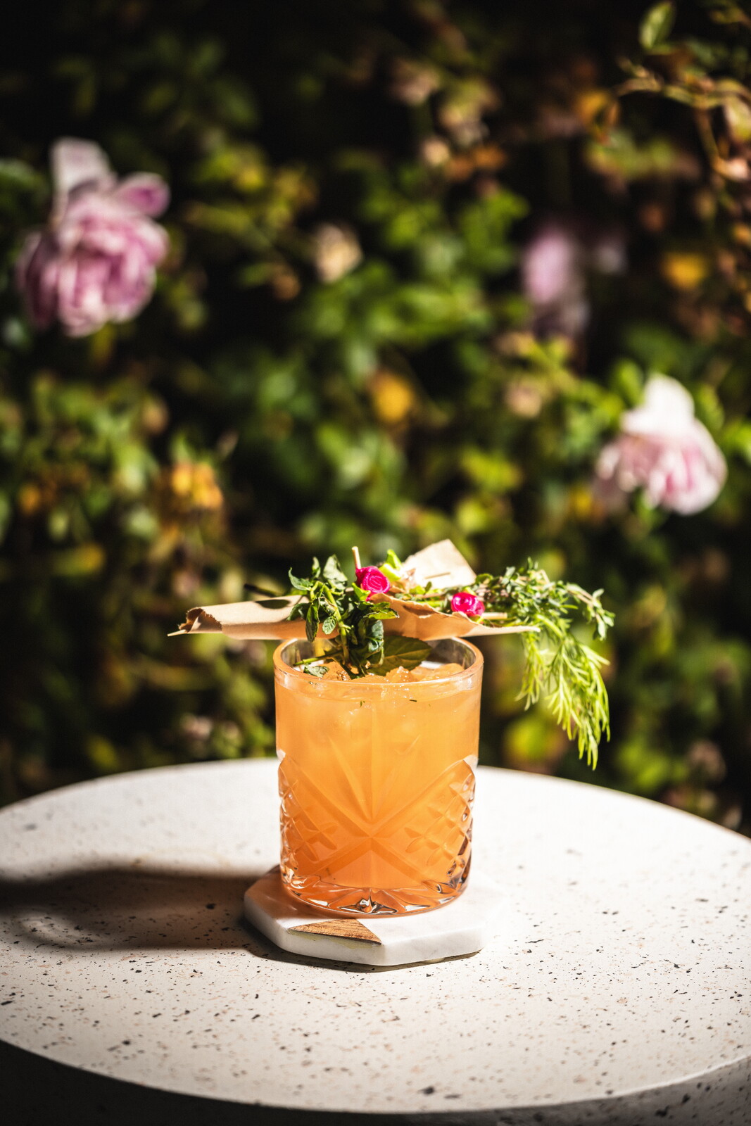 All About Agave