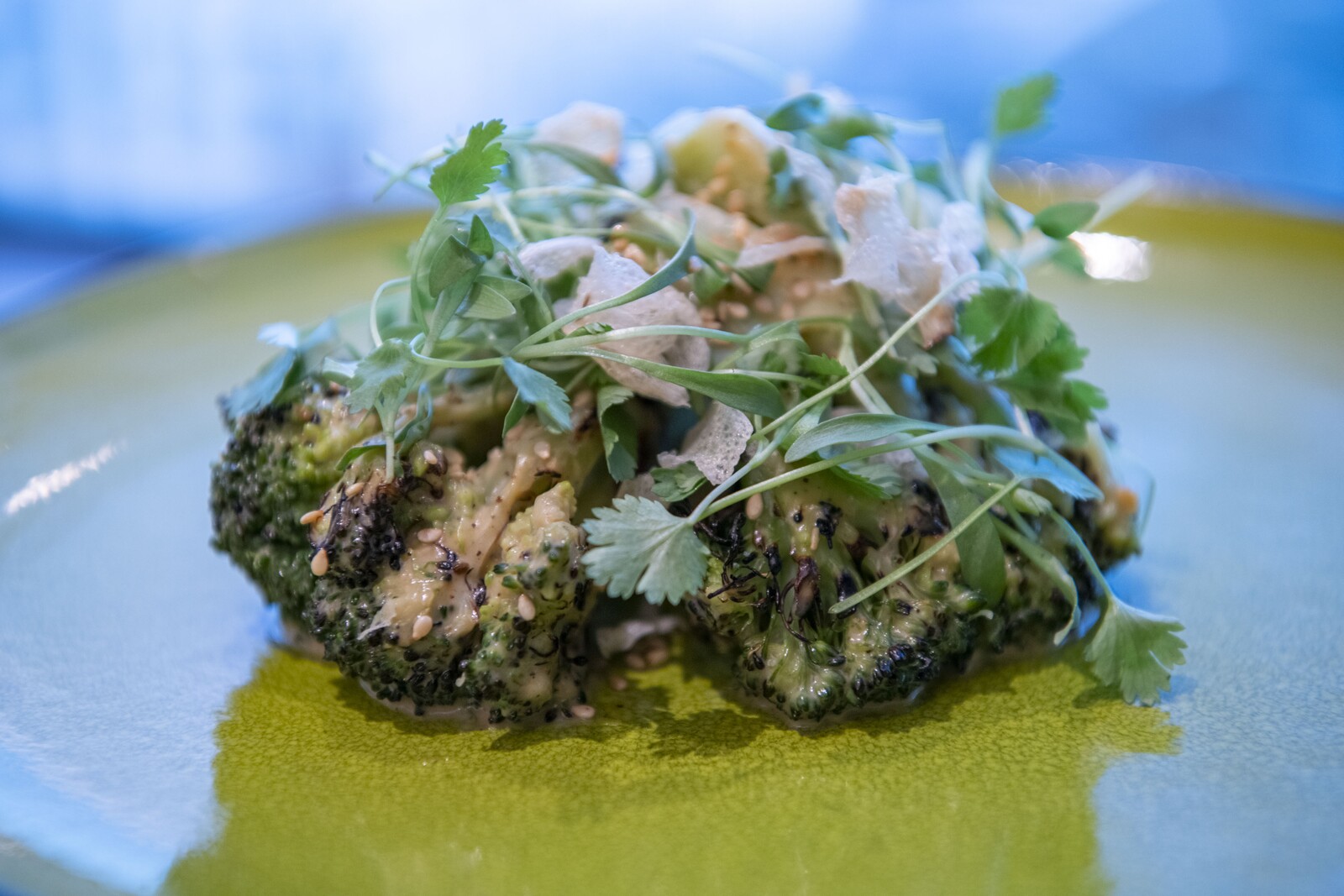 Been Up To 360 Westport?