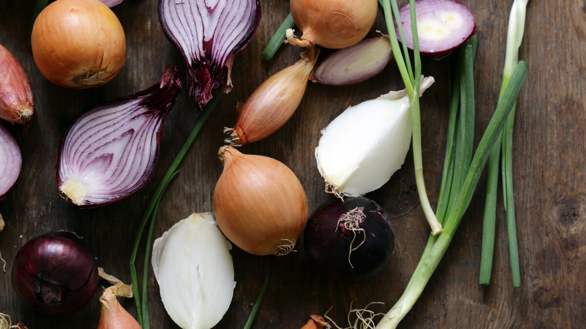 Indian Hill City Lifestyle