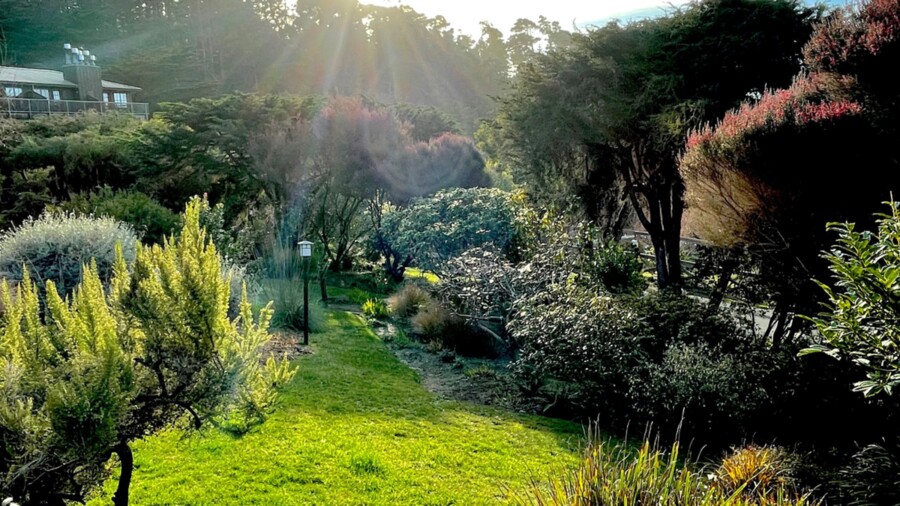 BuckHaven City Lifestyle