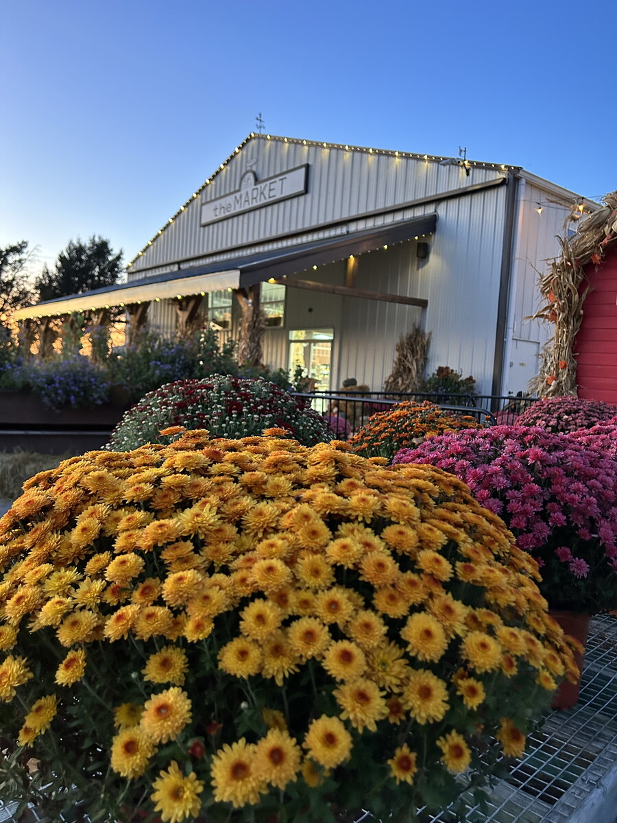 Nelson Produce Farm