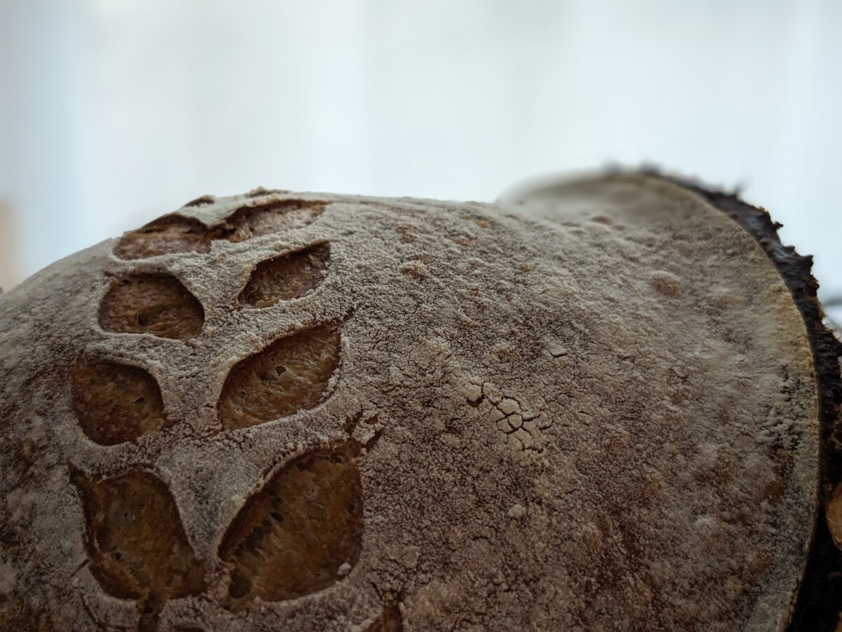 Now Open Green Roof Dough House