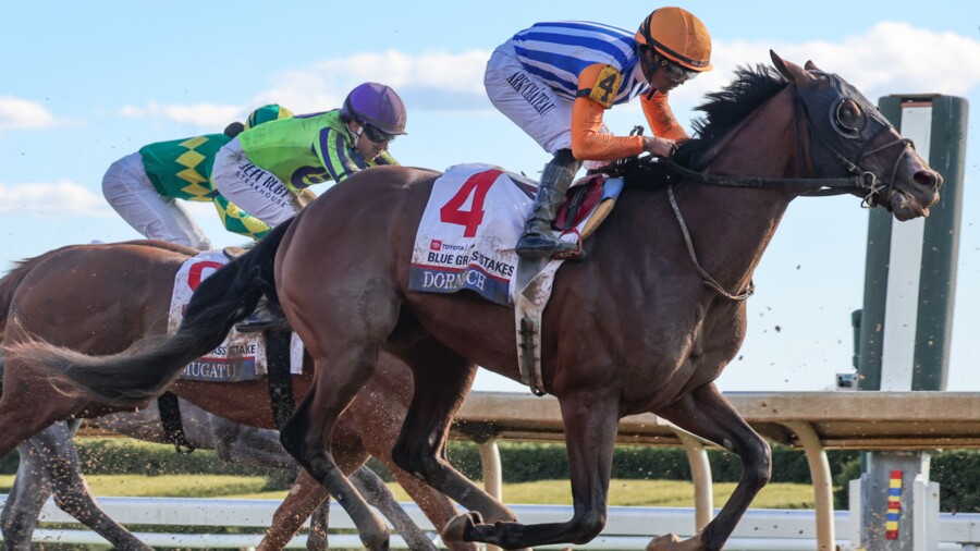 BuckHaven City Lifestyle