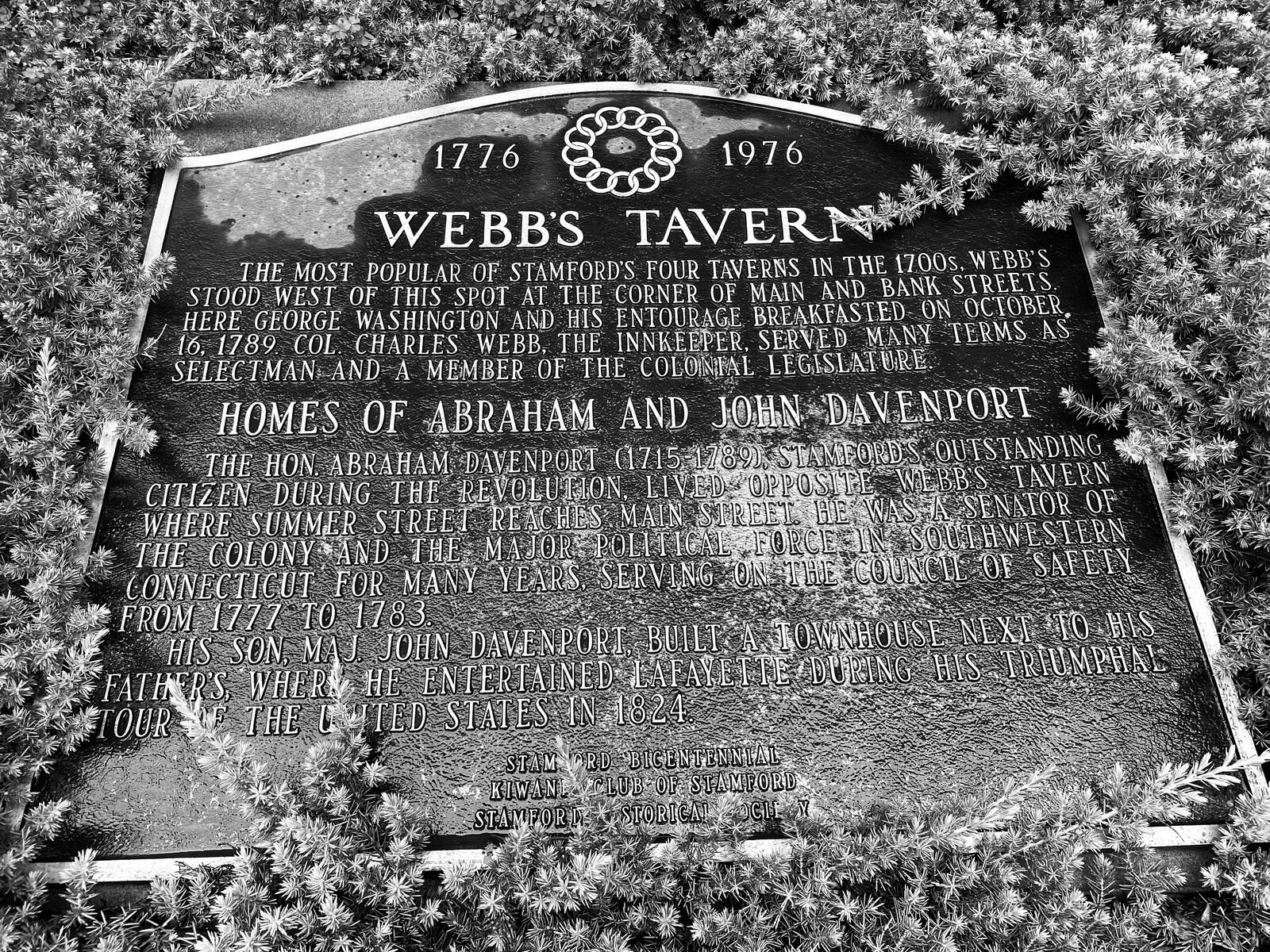 The Art of Flânerie: Wandering with Purpose