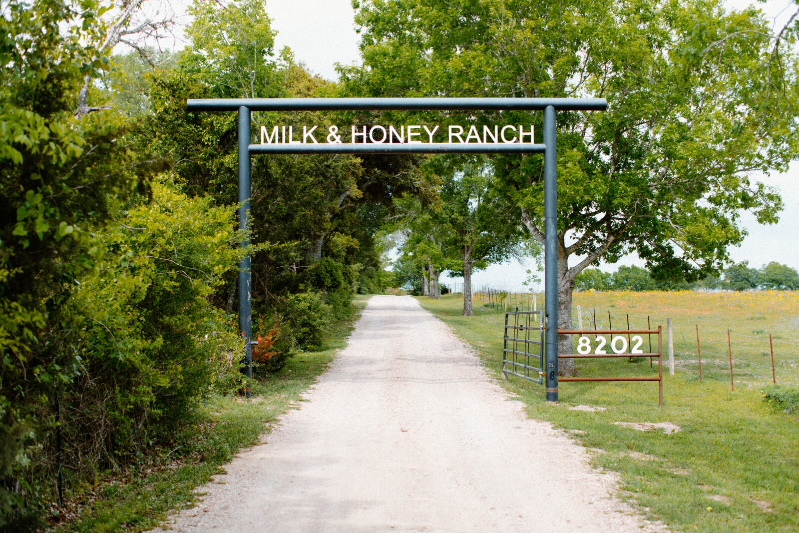 Land of Milk & Honey