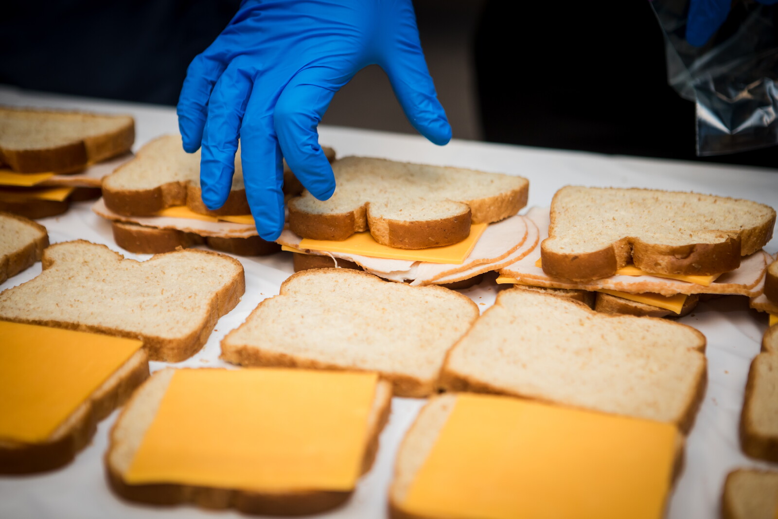 The Sandwich Project