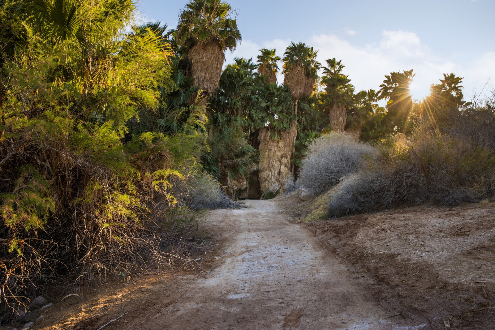 Trailblazing Women: Breaking Barriers & Finding Their Path to Success