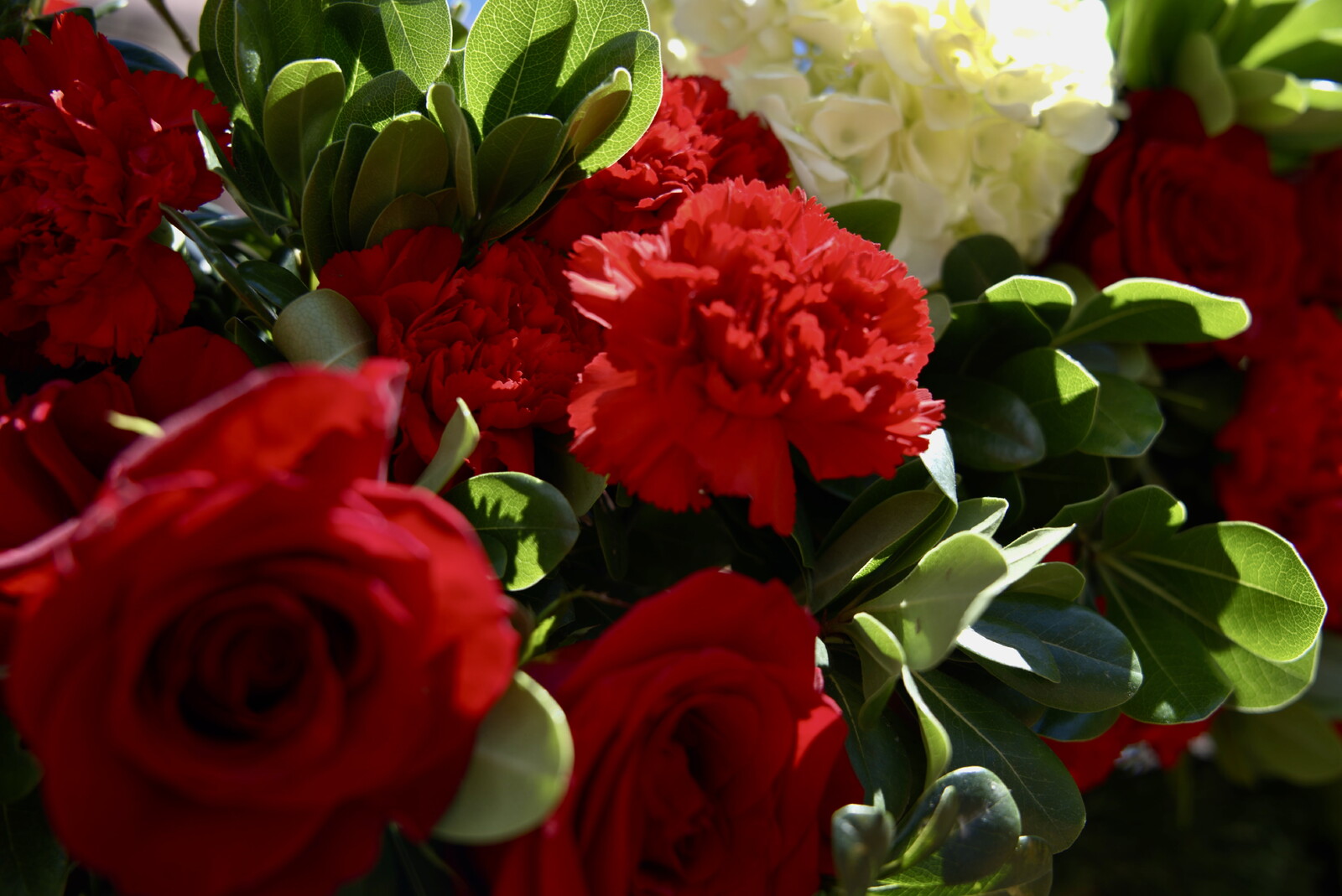 Happy Hearts Playlist