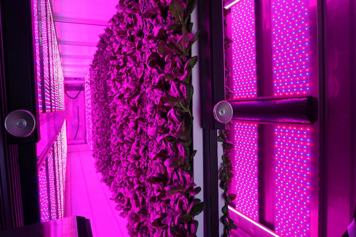 Vertical Farms in Shipping Containers