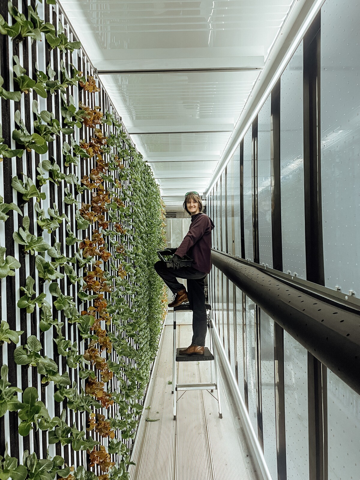 Vertical Farms in Shipping Containers