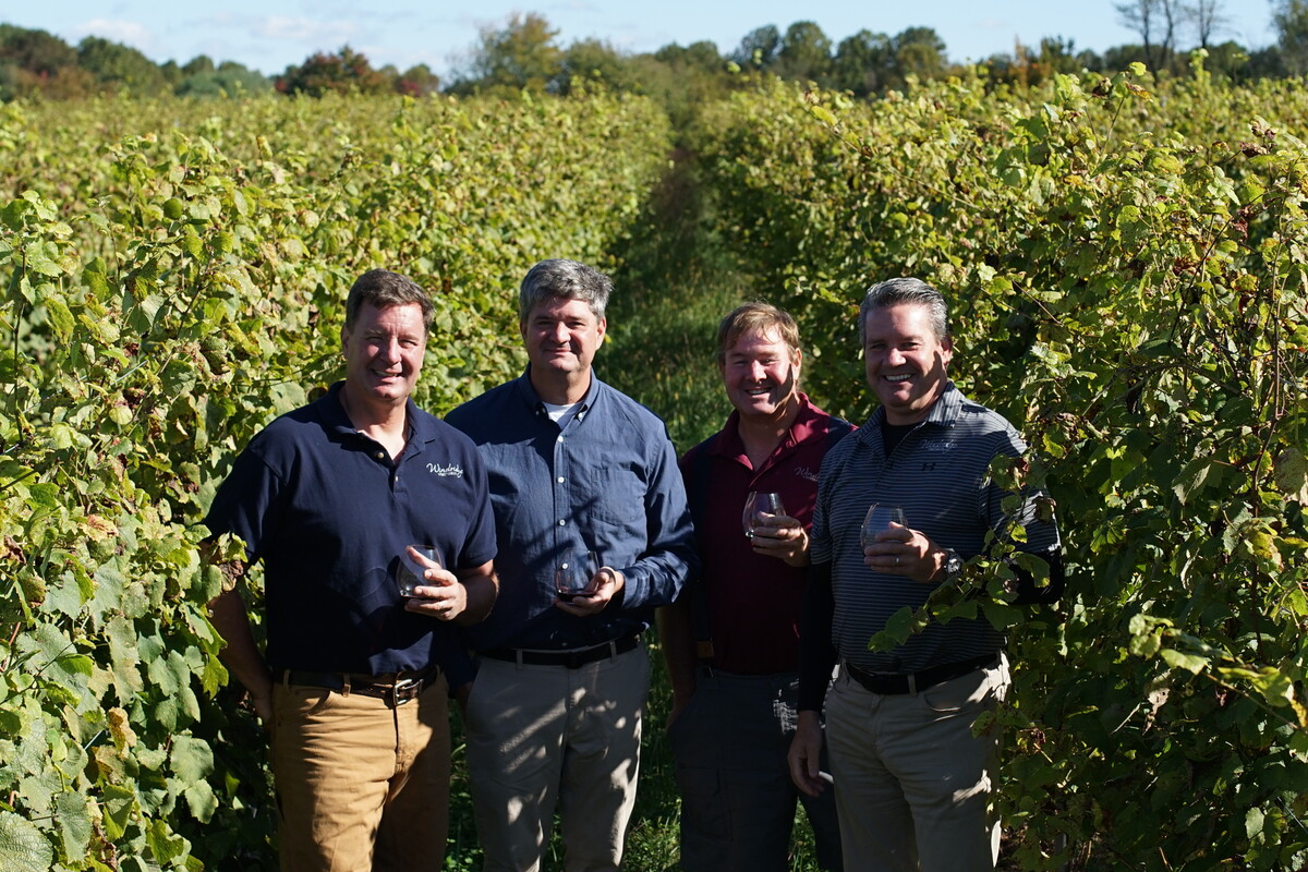 Windridge Vineyard