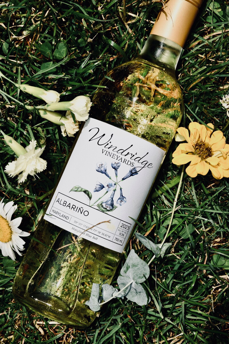 Windridge Vineyard