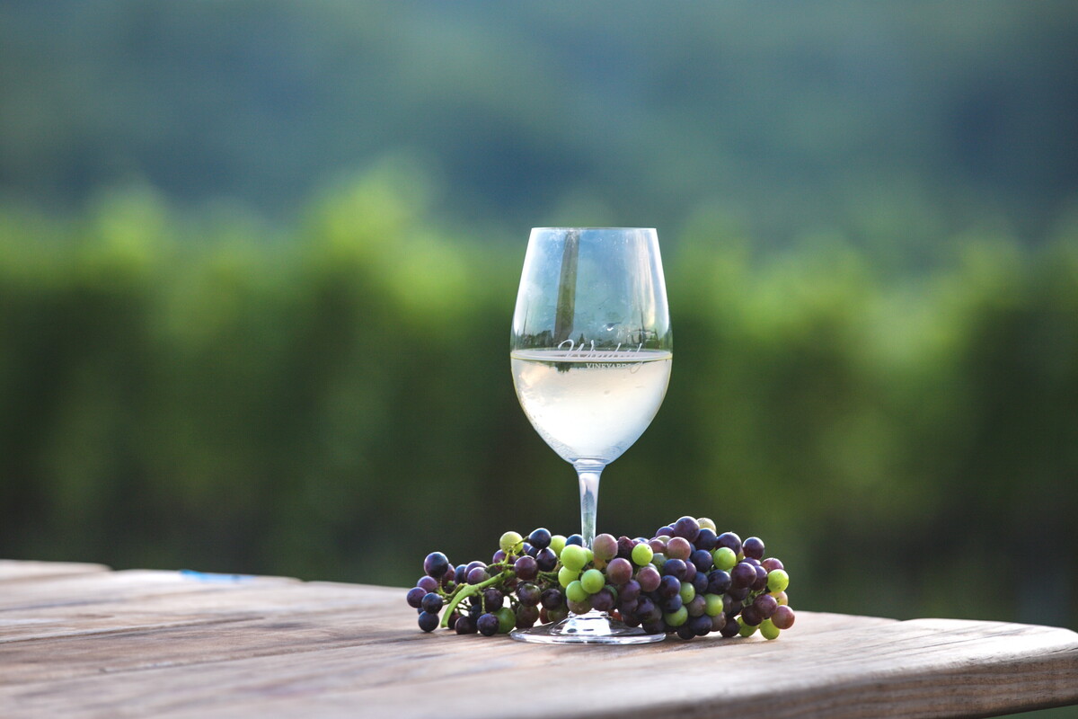 Windridge Vineyard